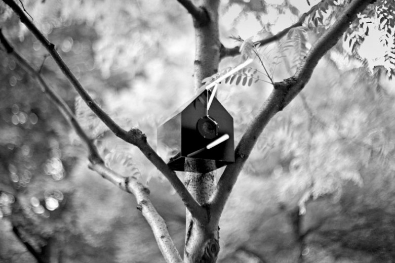 Insect Spectacles – urbanNext