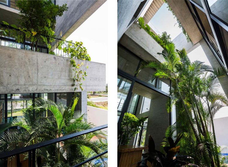 Binh House: a House for Trees and Human Beings – urbanNext