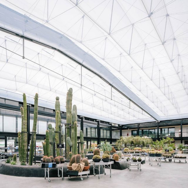 Desert City: A Multi-functional Complex – urbanNext