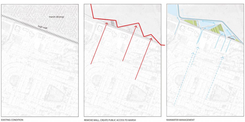 Floodplain Marsh Recovery: A Critical Ecosystem – urbanNext