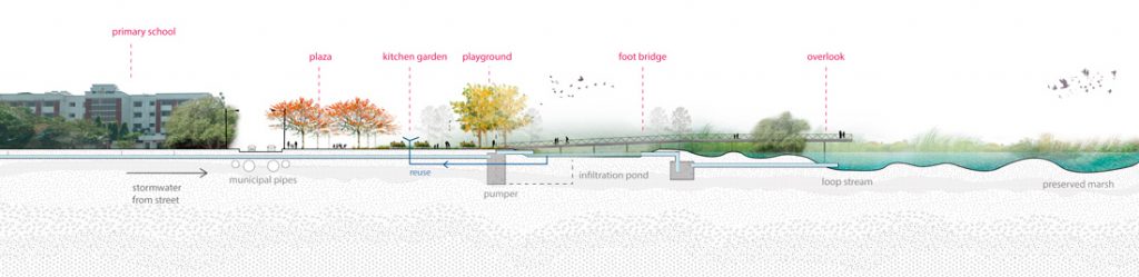 Floodplain Marsh Recovery: A Critical Ecosystem – urbanNext