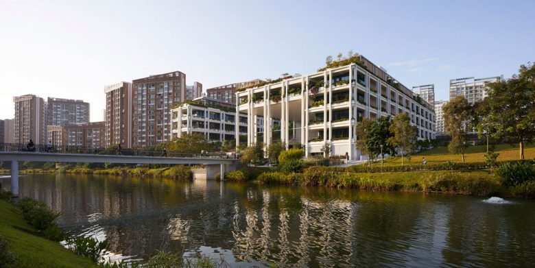 Oasis Terraces: Cohering Diverse Programmes into a Legible Whole ...