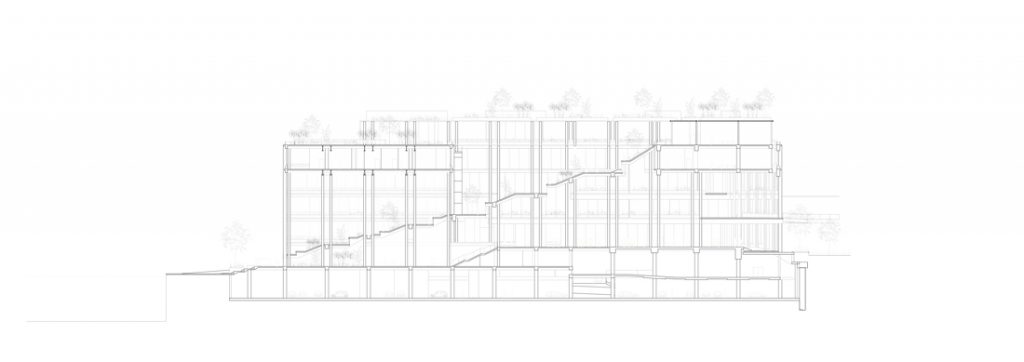Oasis Terraces: Cohering Diverse Programmes into a Legible Whole ...