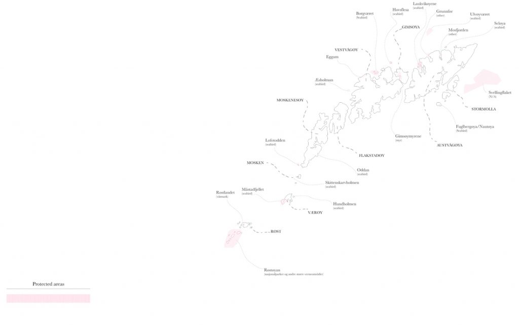 Ornithological Map / Diving Seabirds – urbanNext