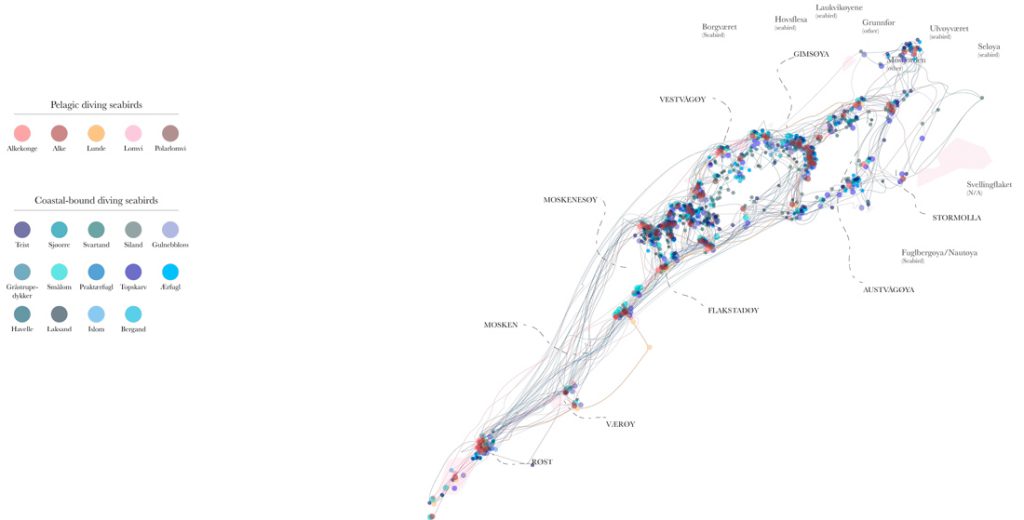 Ornithological Map / Diving Seabirds – urbanNext