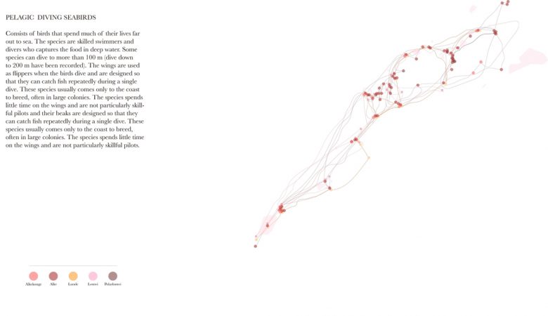 Ornithological Map / Diving Seabirds – urbanNext