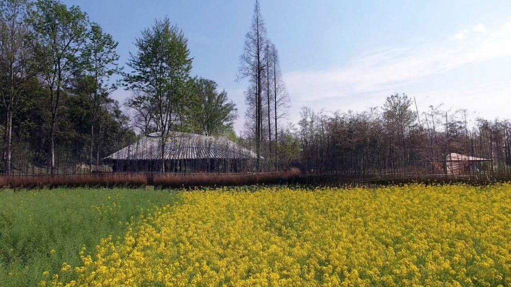 Rural Community Center: Futuristic and Traditional Approach – urbanNext