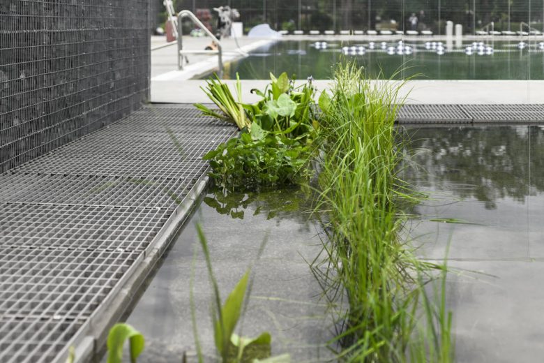 Borden Park Natural Swimming Pool: Environmentally Healthy – urbanNext