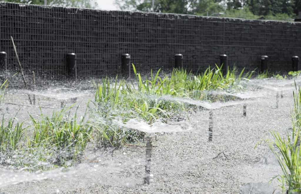 Borden Park Natural Swimming Pool: Environmentally Healthy – urbanNext
