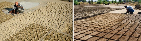 Urban Mud Metabolism and Survivability: From Earth Buildings to Edible ...