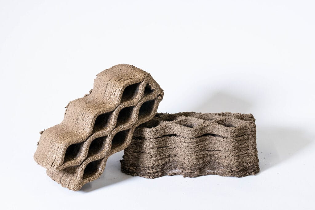 Urban Mud Metabolism and Survivability: From Earth Buildings to Edible ...