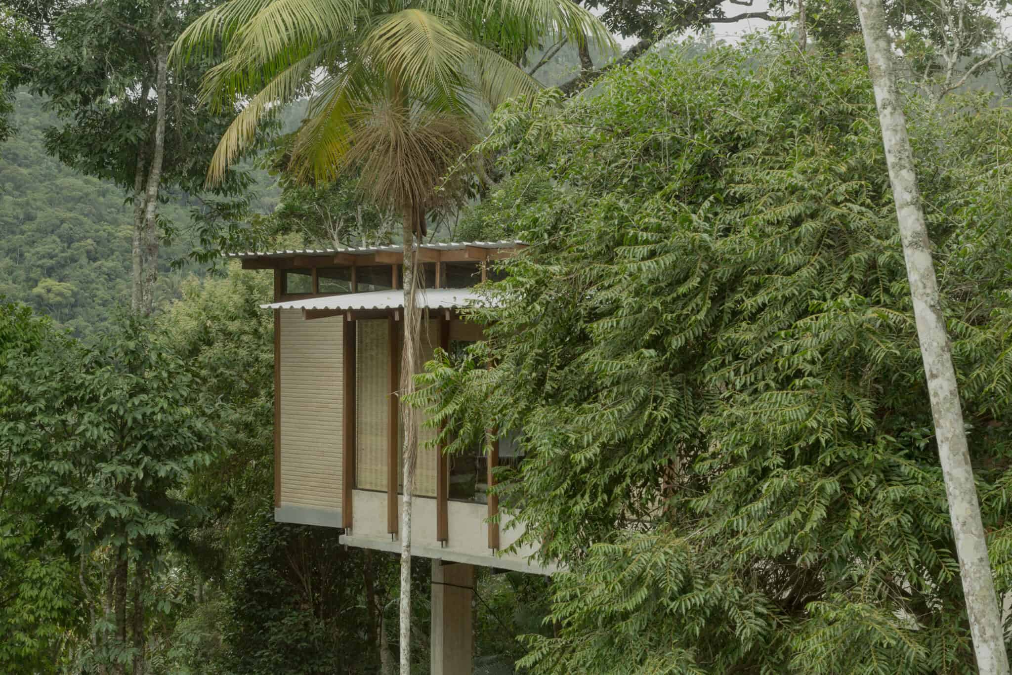 Elevated Harmony: A Treehouse within Nature – urbanNext