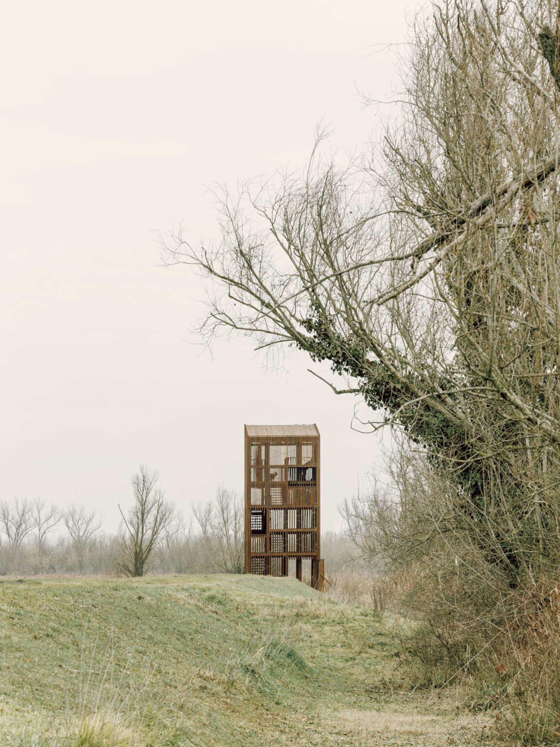 Contemplating nature: Landscape Observation Tower – urbanNext